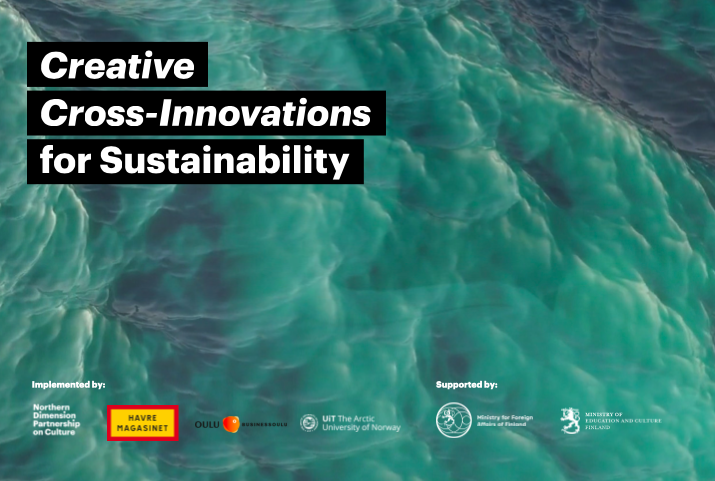 Creative Cross-Innovations for Sustainability - NDPC